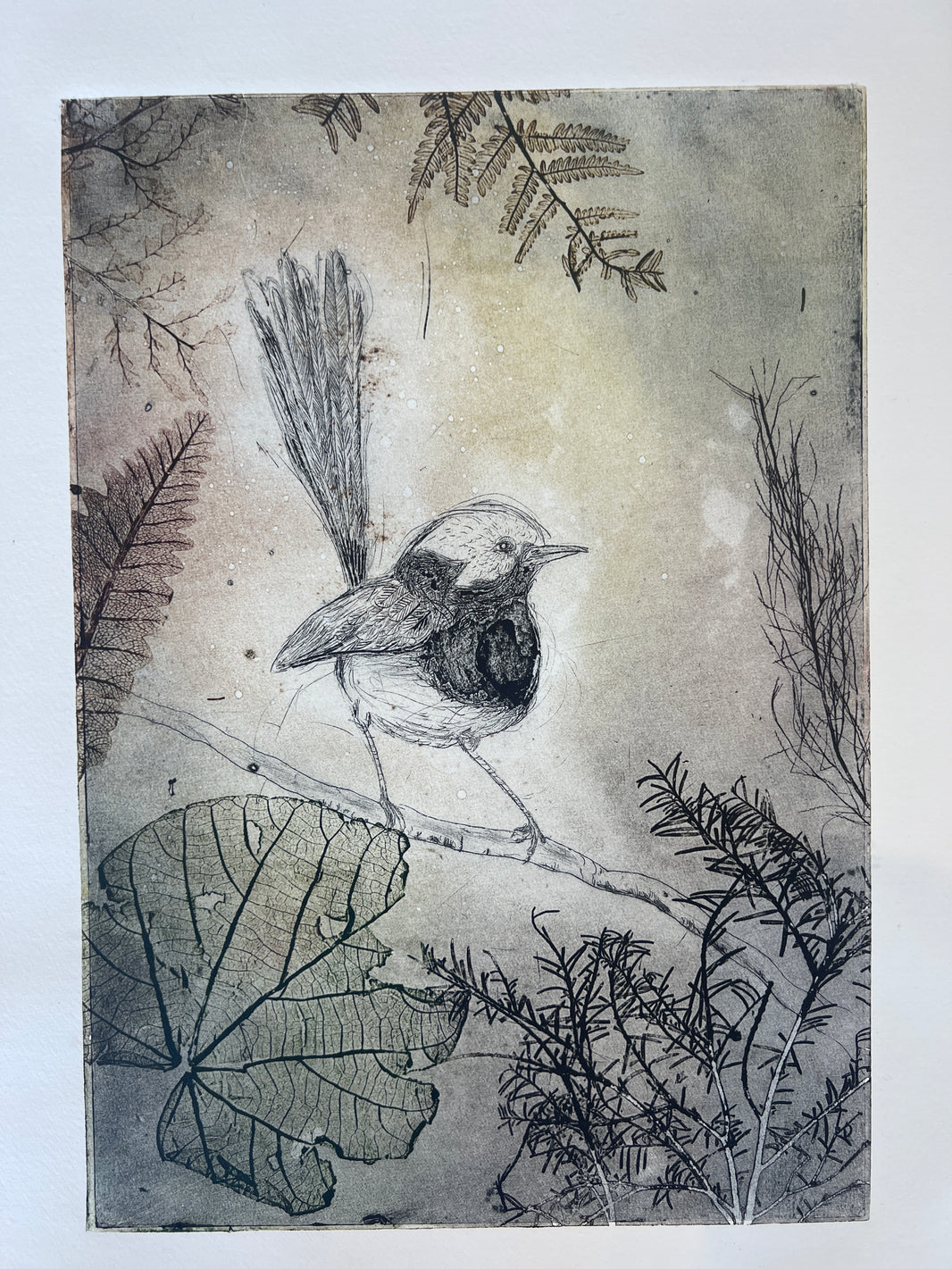 Etchings and Collagraphs – Jet James Artist