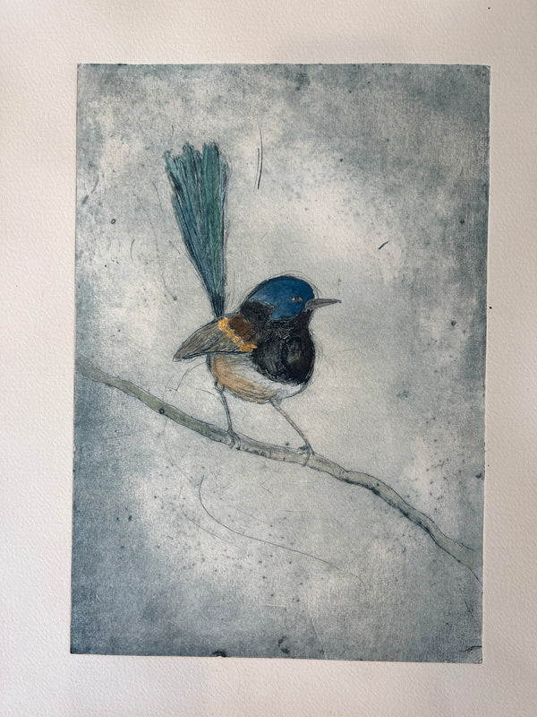 ‘Wren' Original Etching hand coloured – Jet James Artist
