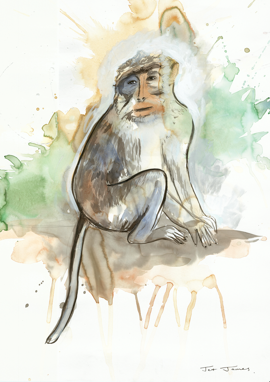 Jet James Prints | Nature Giclee Fine Art Prints – tagged "prints ...