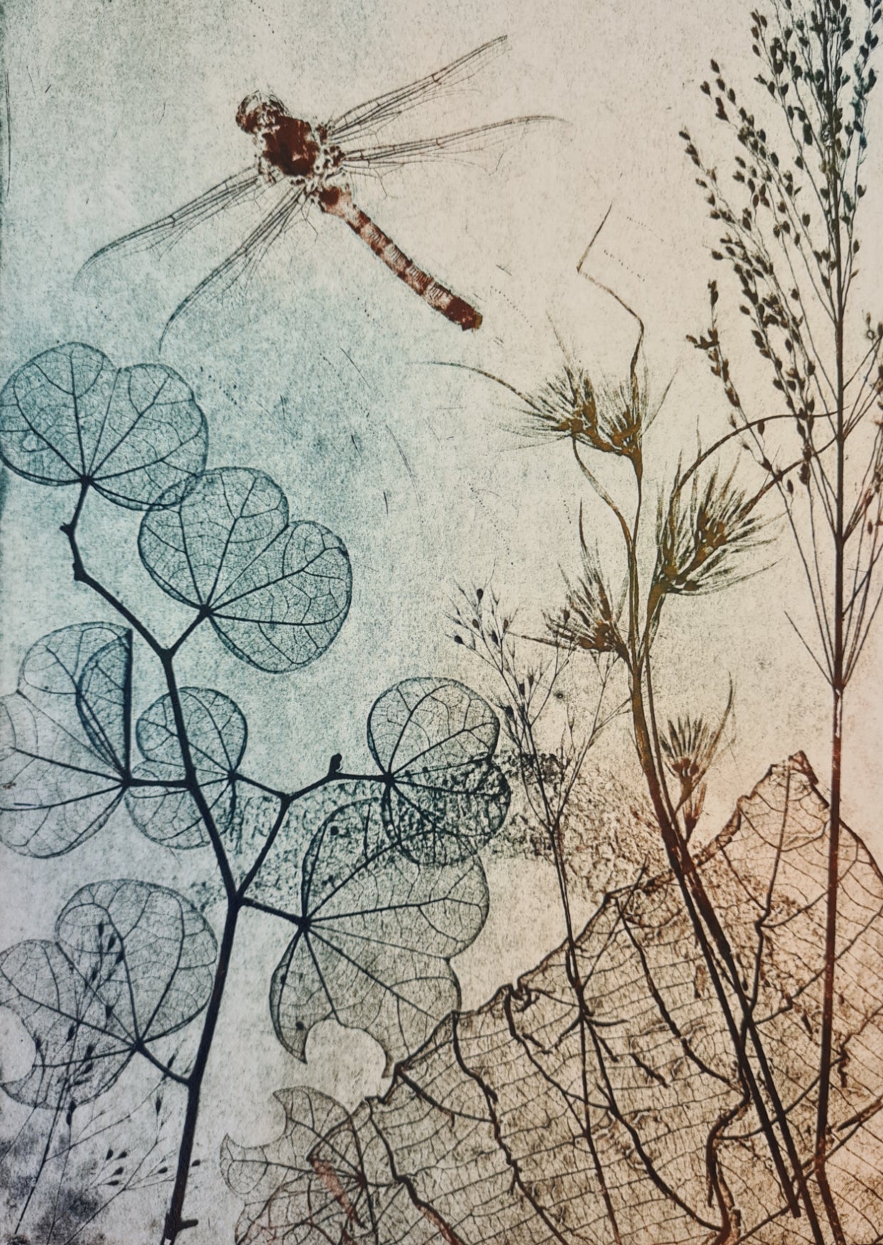 Jet James Artist – Jet James Artist