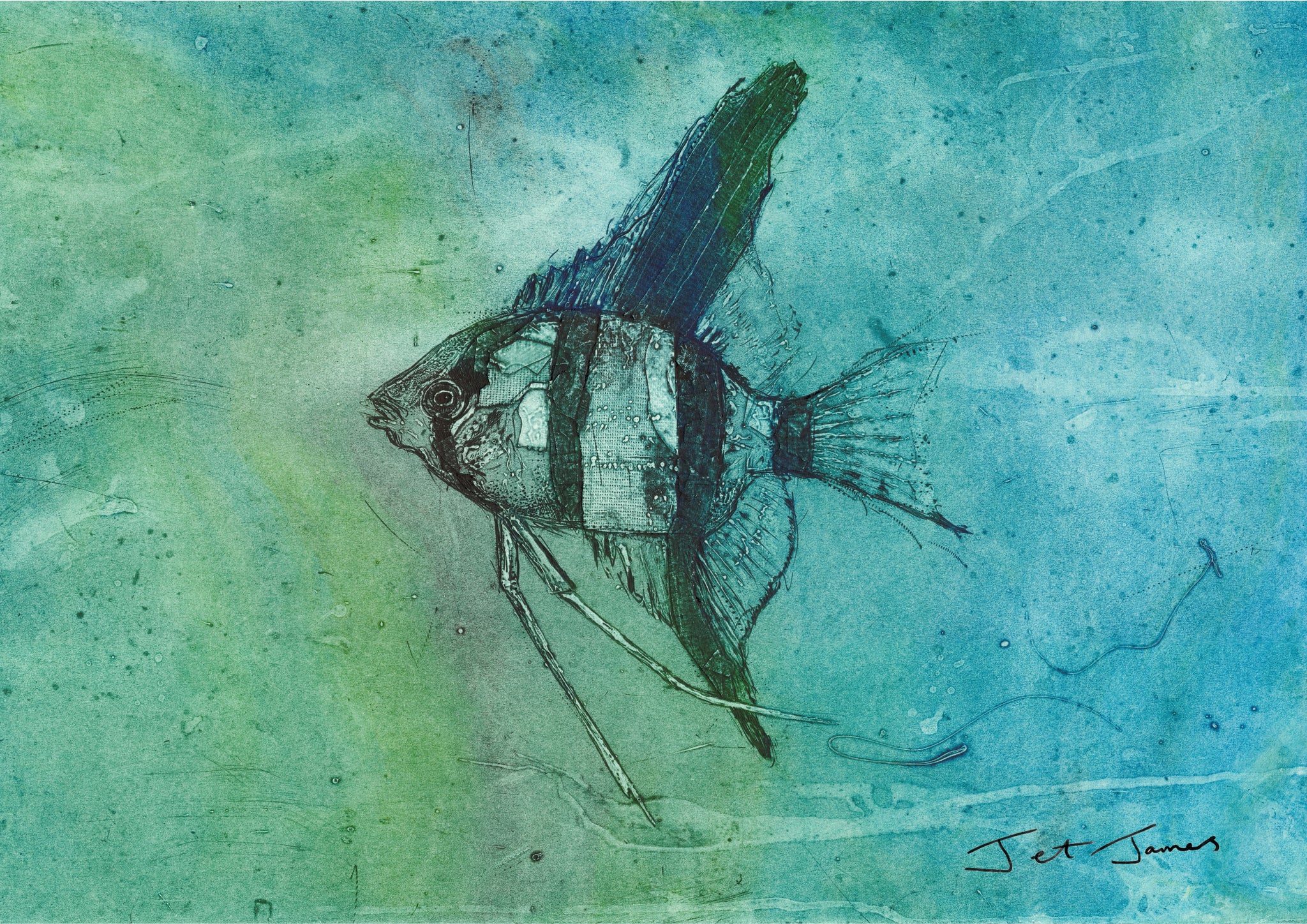 'Angelfish' Fine Art Print by Artist Jet James – Jet James Artist