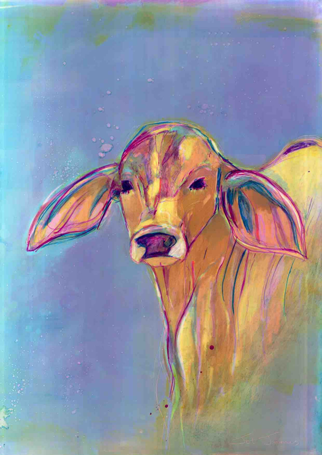 Rockhampton Cow Print – Jet James Artist
