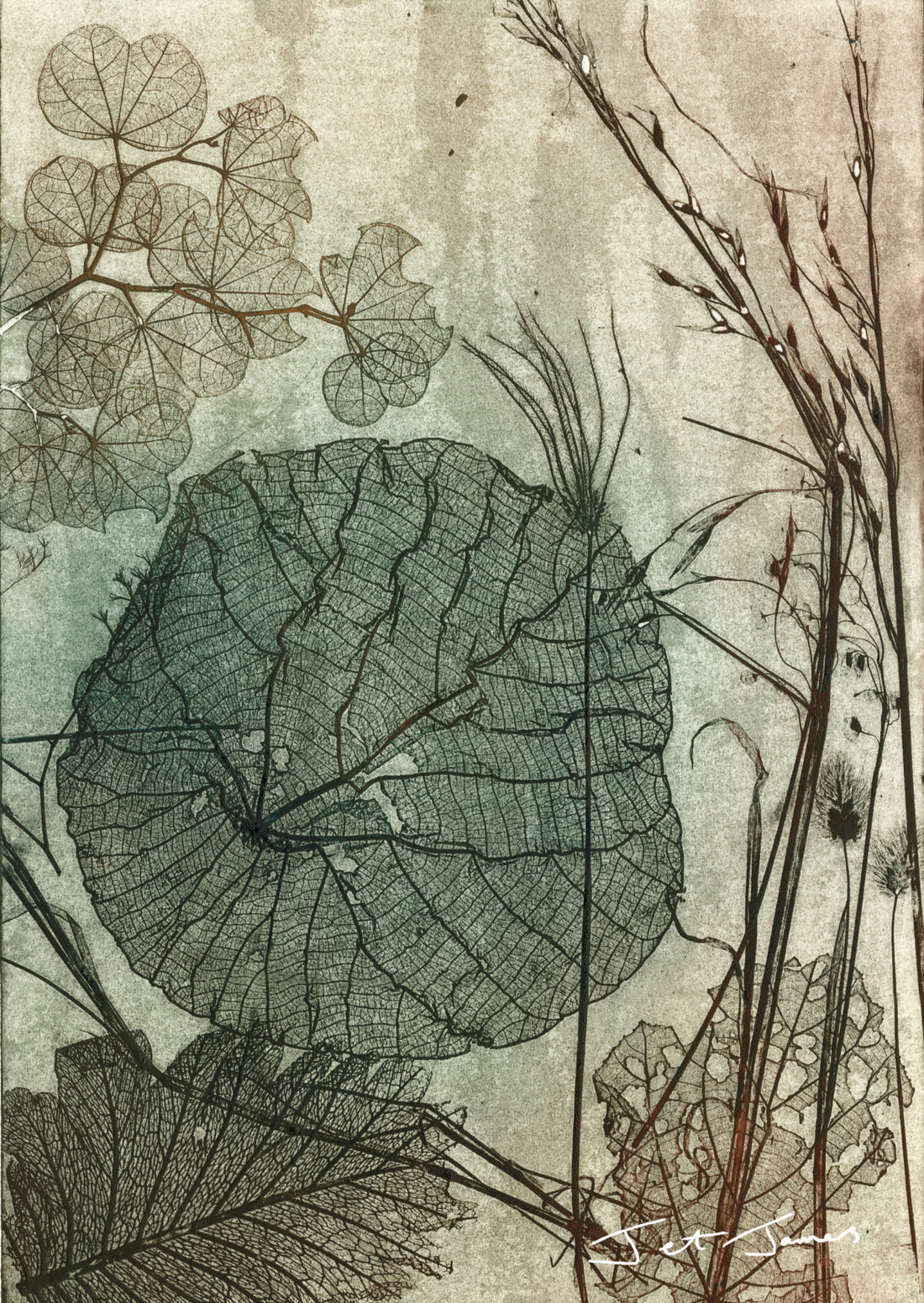 Green Leaf Nature Art print by renowned artist Jet James – Jet James Artist