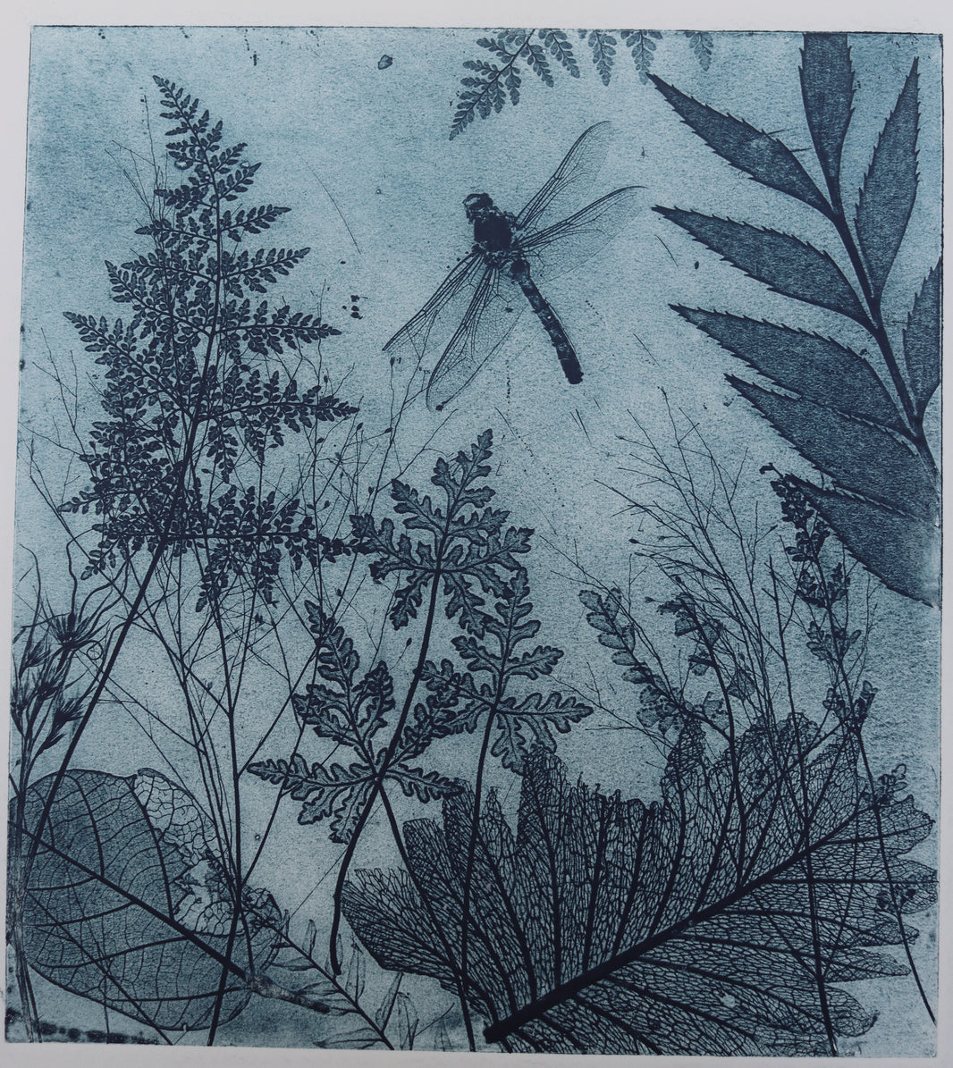 Etchings and Collagraphs – Page 3 – Jet James Artist
