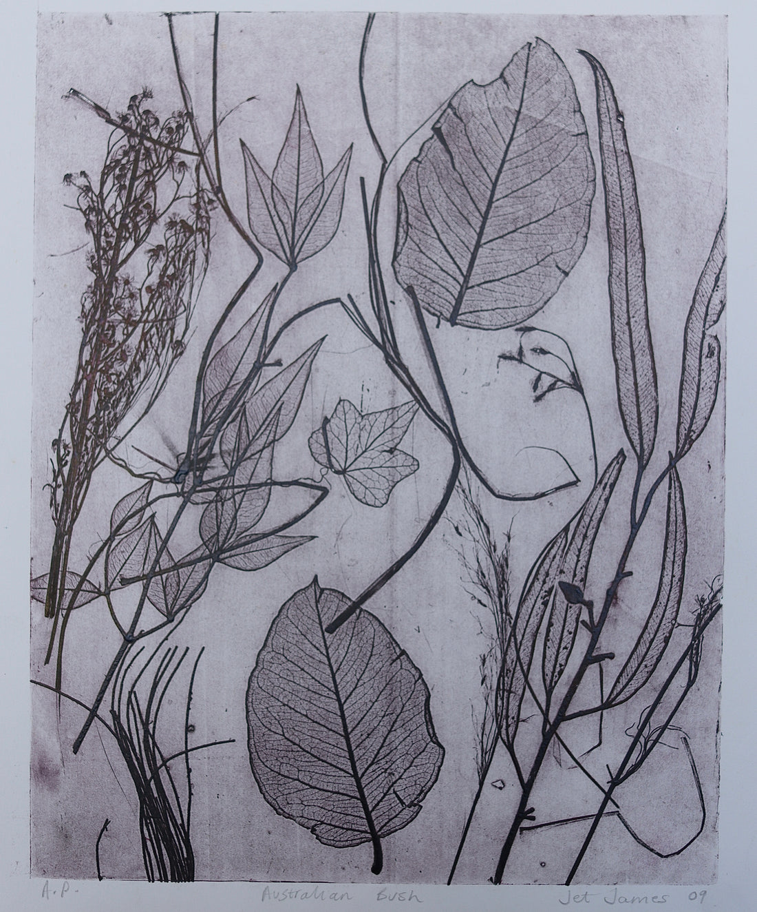 Australian Bush – Jet James Artist