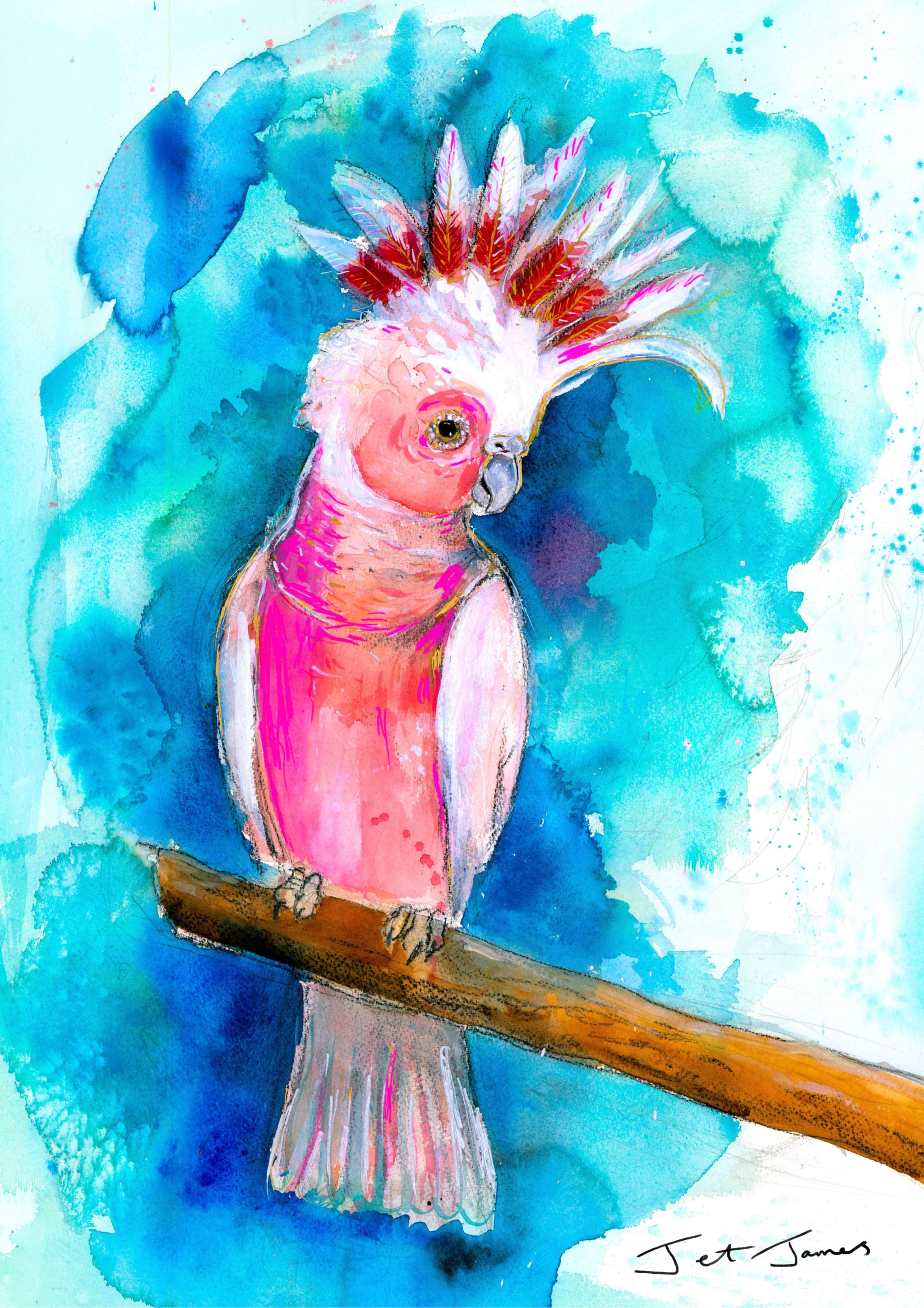 Major Mitchell art print by renowned artist Jet James – Jet James Artist