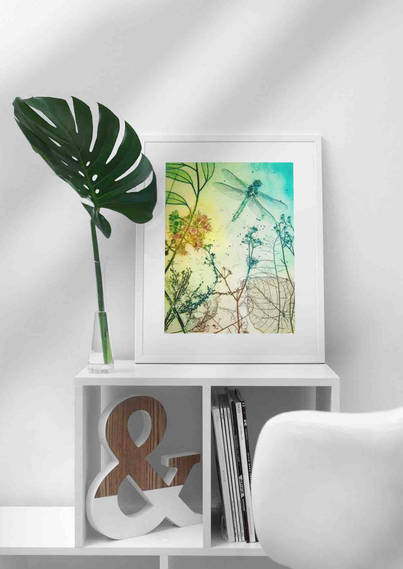 'Tombo' Dragonfly Fine Art Print – Jet James Artist