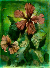 Florals & Nature – Jet James Artist