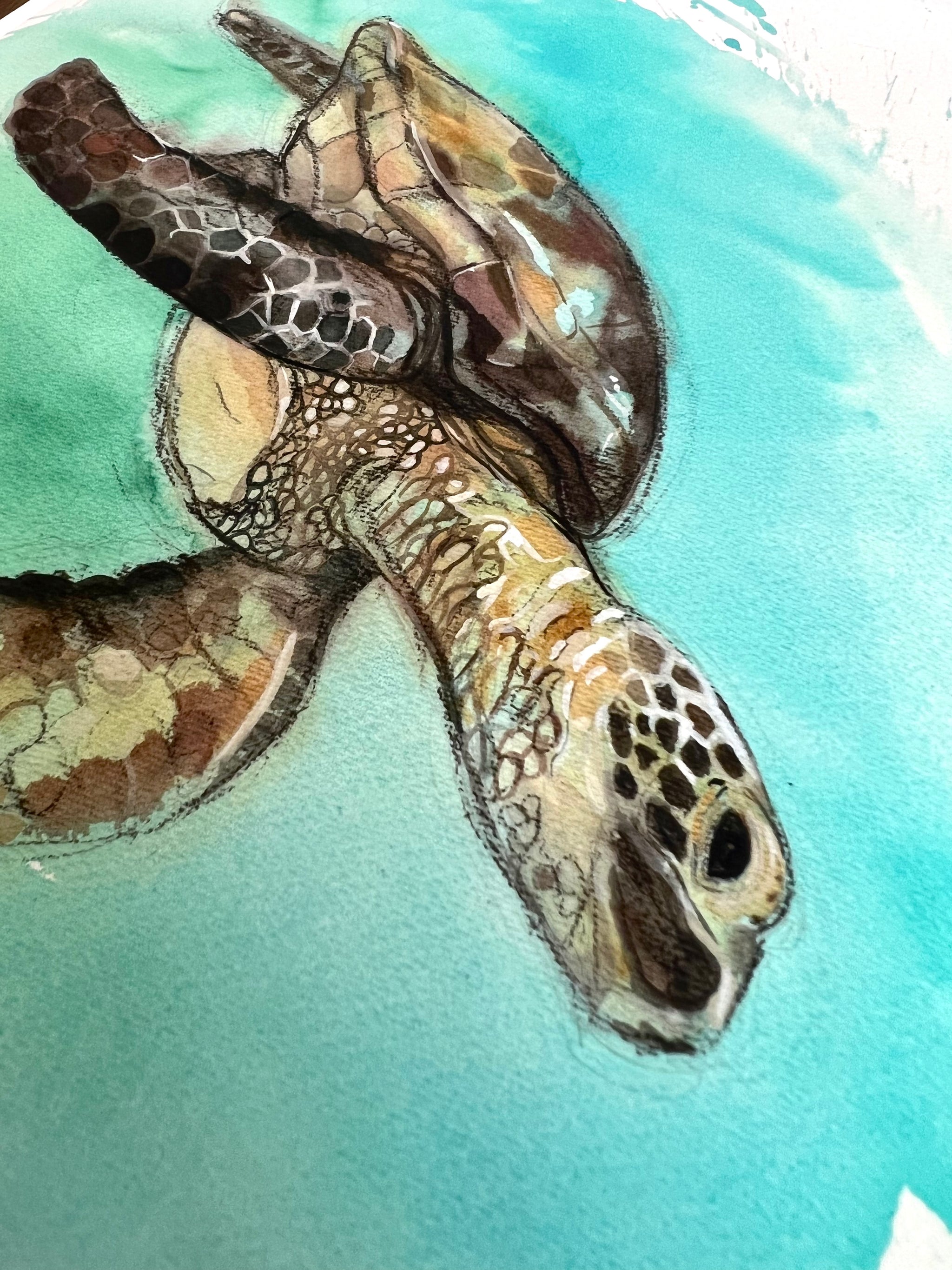 'Sea Turtle' Fine Art Print by Artist Jet James – Jet James Artist