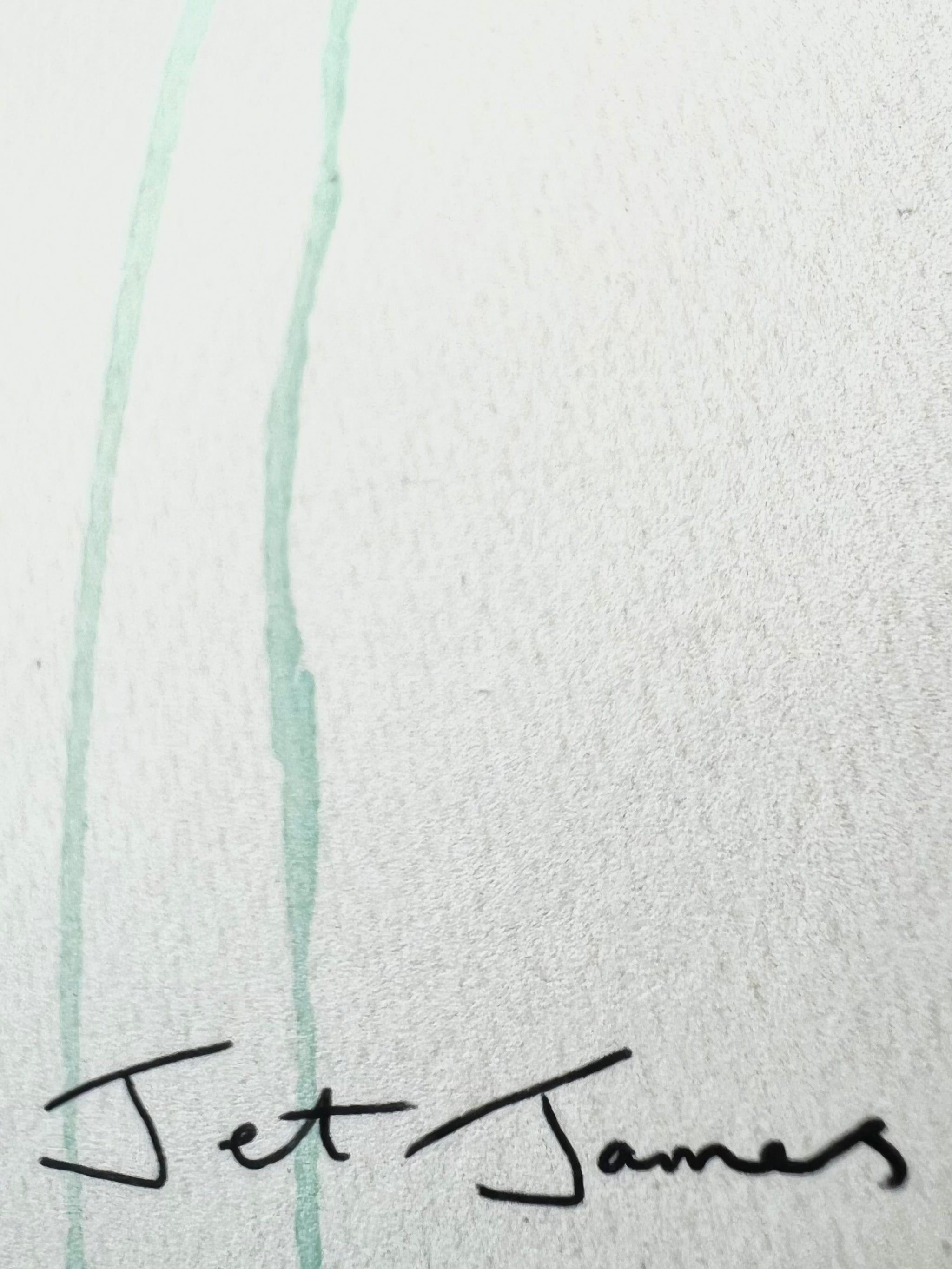 'Sea Turtle' Fine Art Print by Artist Jet James – Jet James Artist